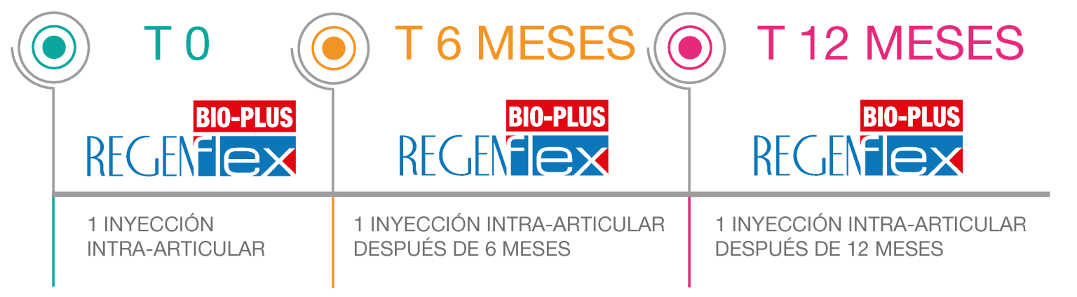 Producto: Regenflex Bio-Plus – Regenflex